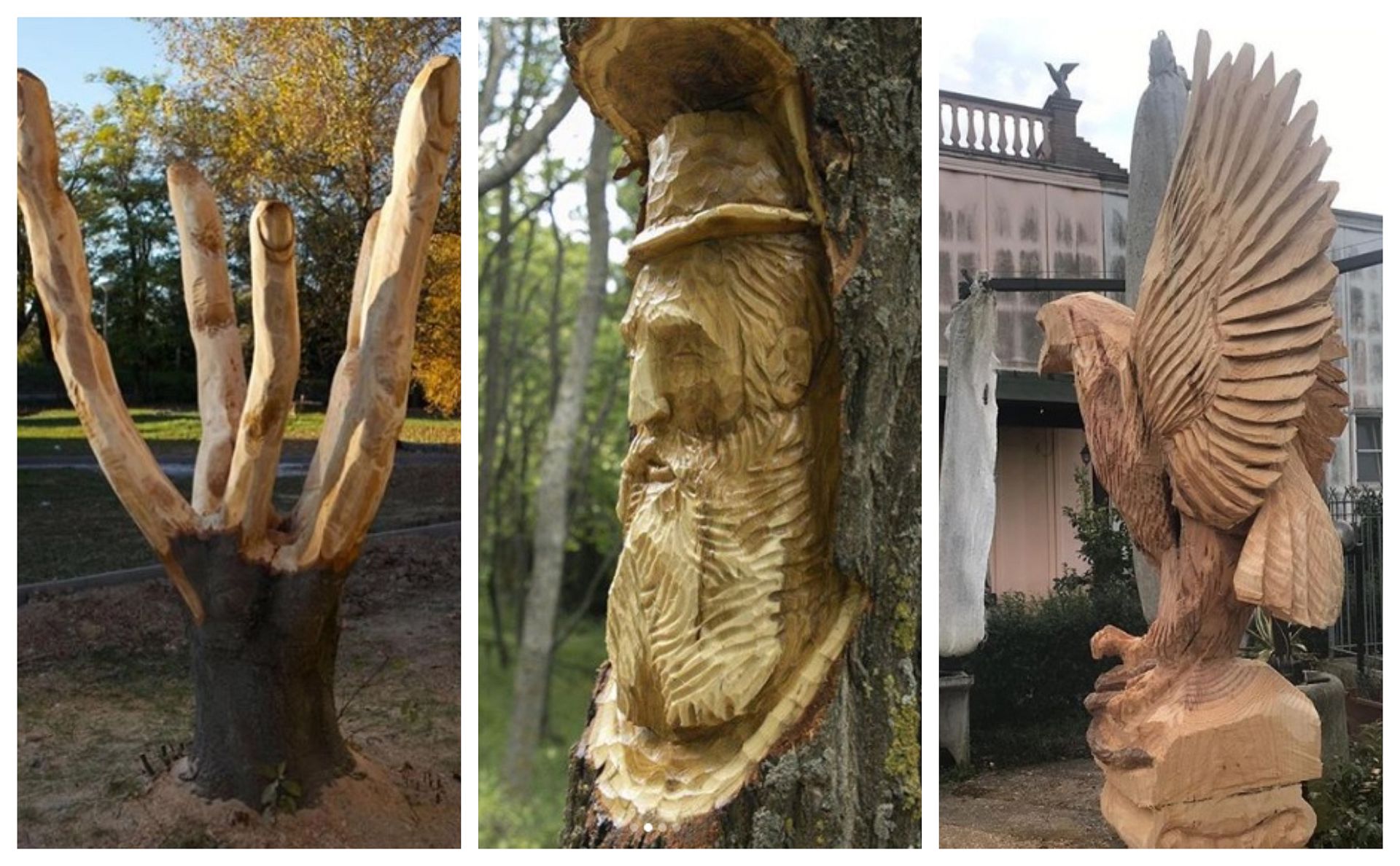 The young artist turning Rome’s trees into astonishing sculptures ...