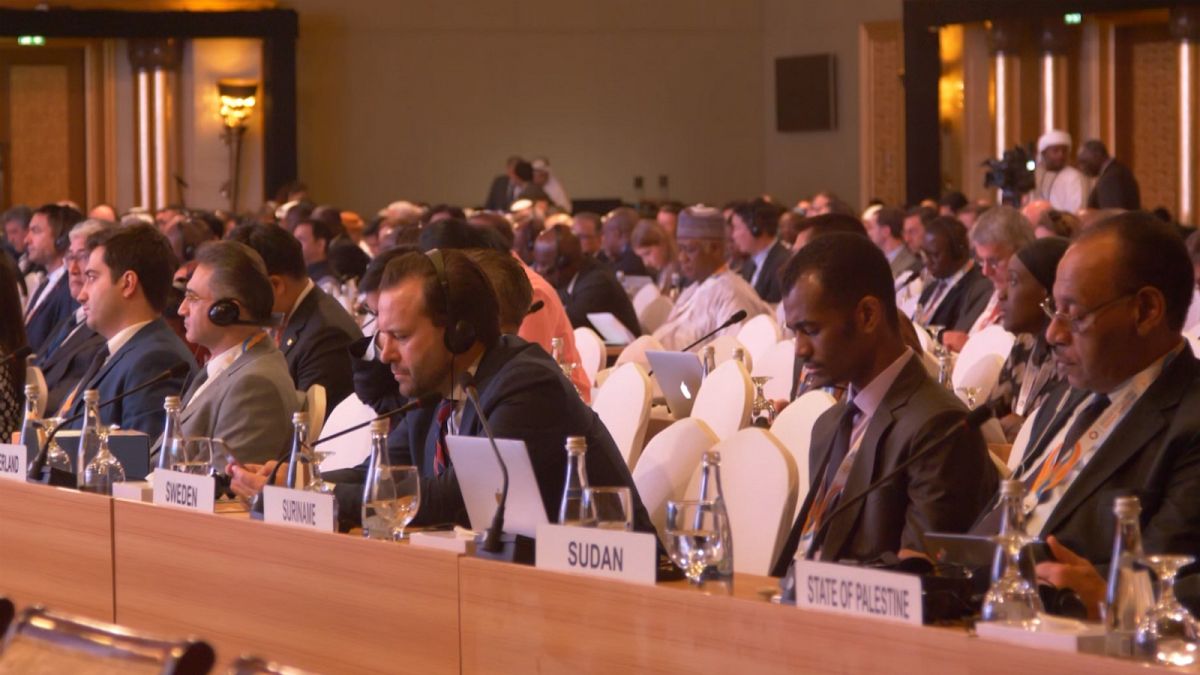 UNIDO General Conference in Abu Dhabi highlights private sector ...