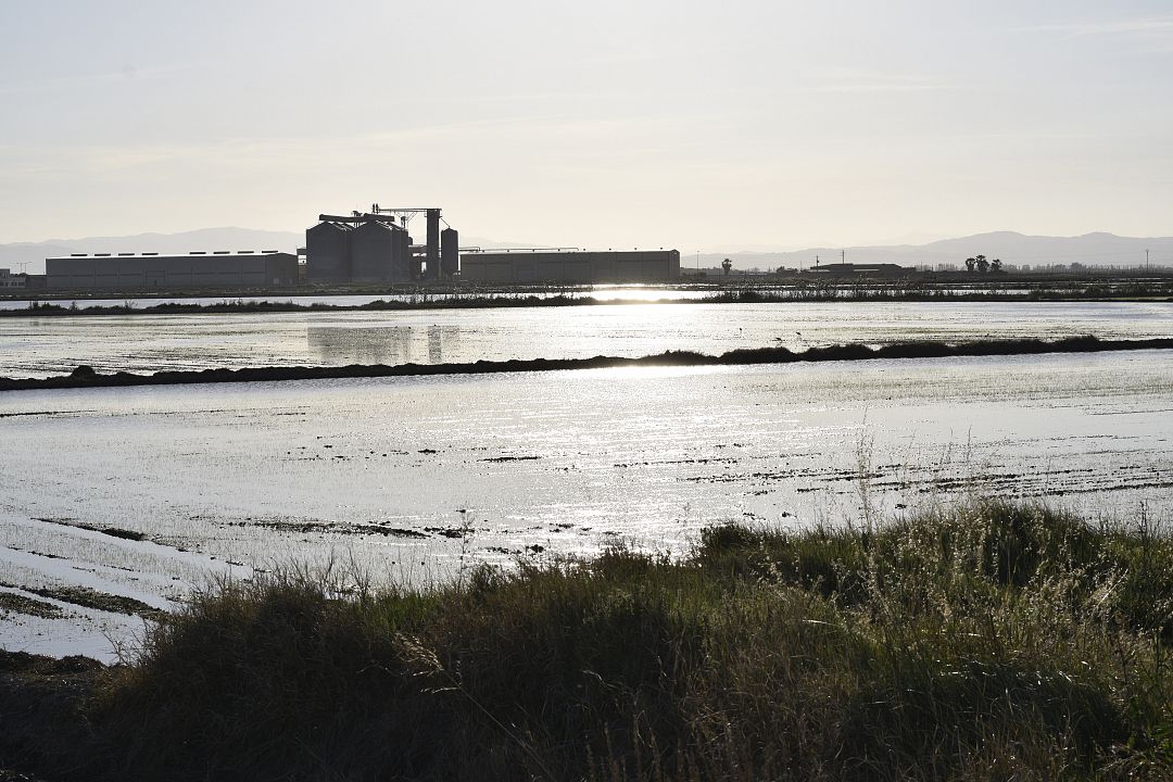 How irresponsible agriculture has poisoned Spain's water resources ...