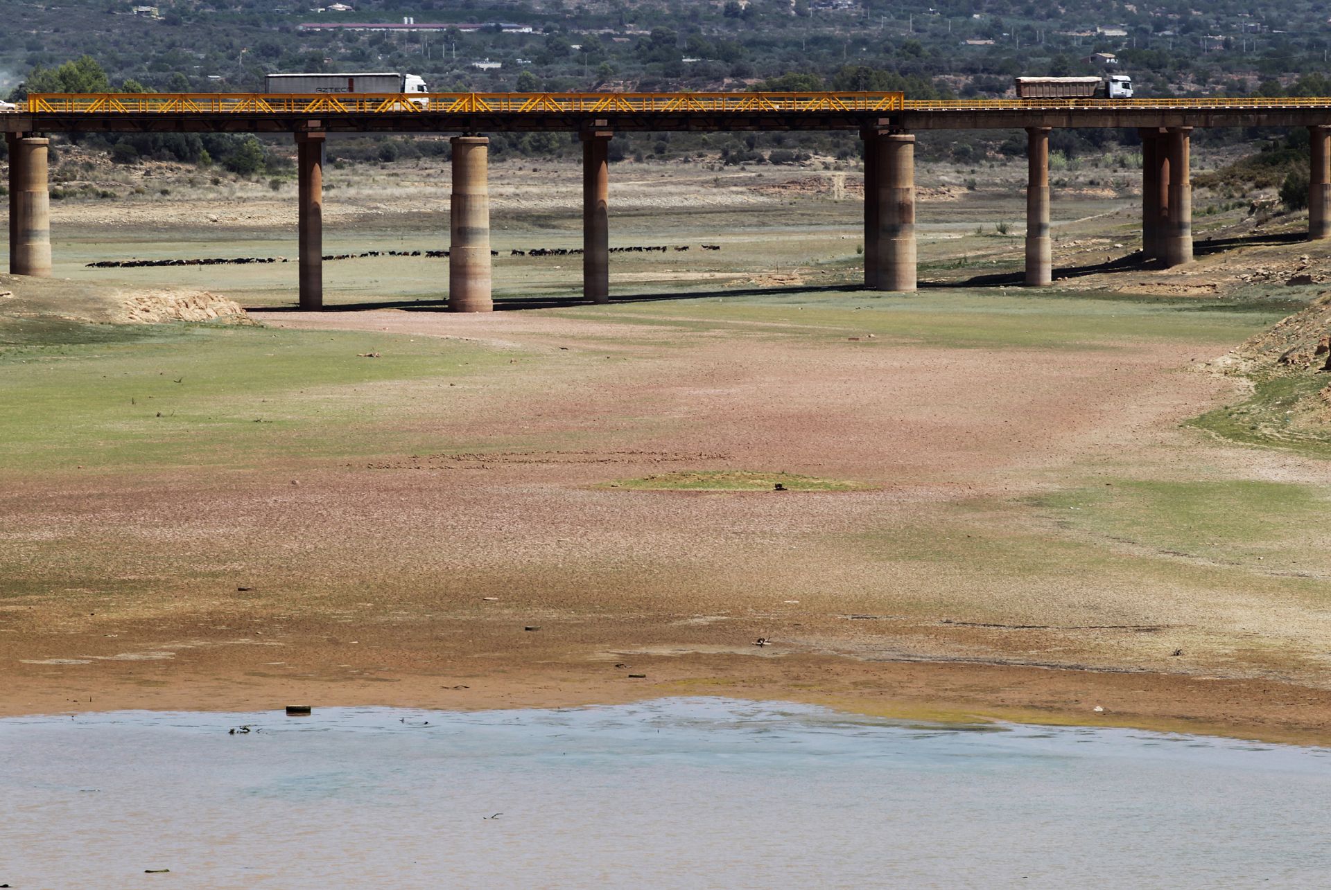 How irresponsible agriculture has poisoned Spain's water resources ...