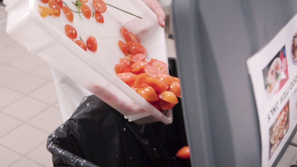 How is the UAE tackling its food waste problem? | Euronews