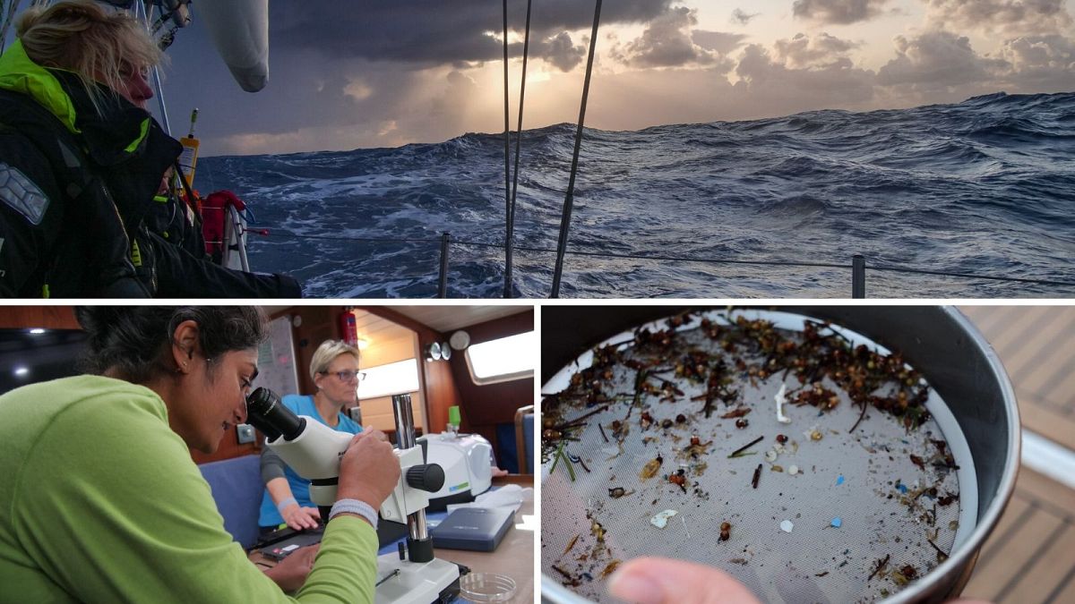 WATCH | Meet the 300 women sailing the seas to fight plastic pollution ...