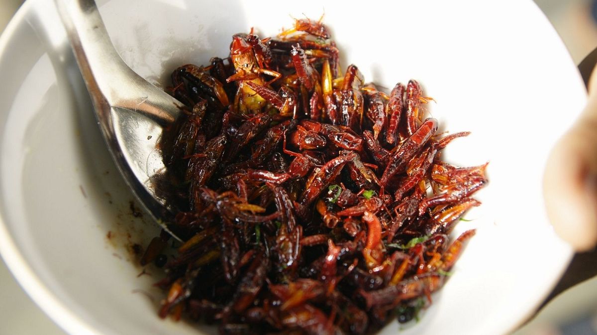 A classic Belgian Waffle but with a crunchy twist - it’s made from ...