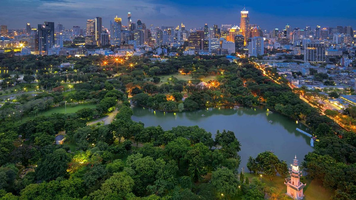 More trees in cities could save 400 lives annually | Euronews