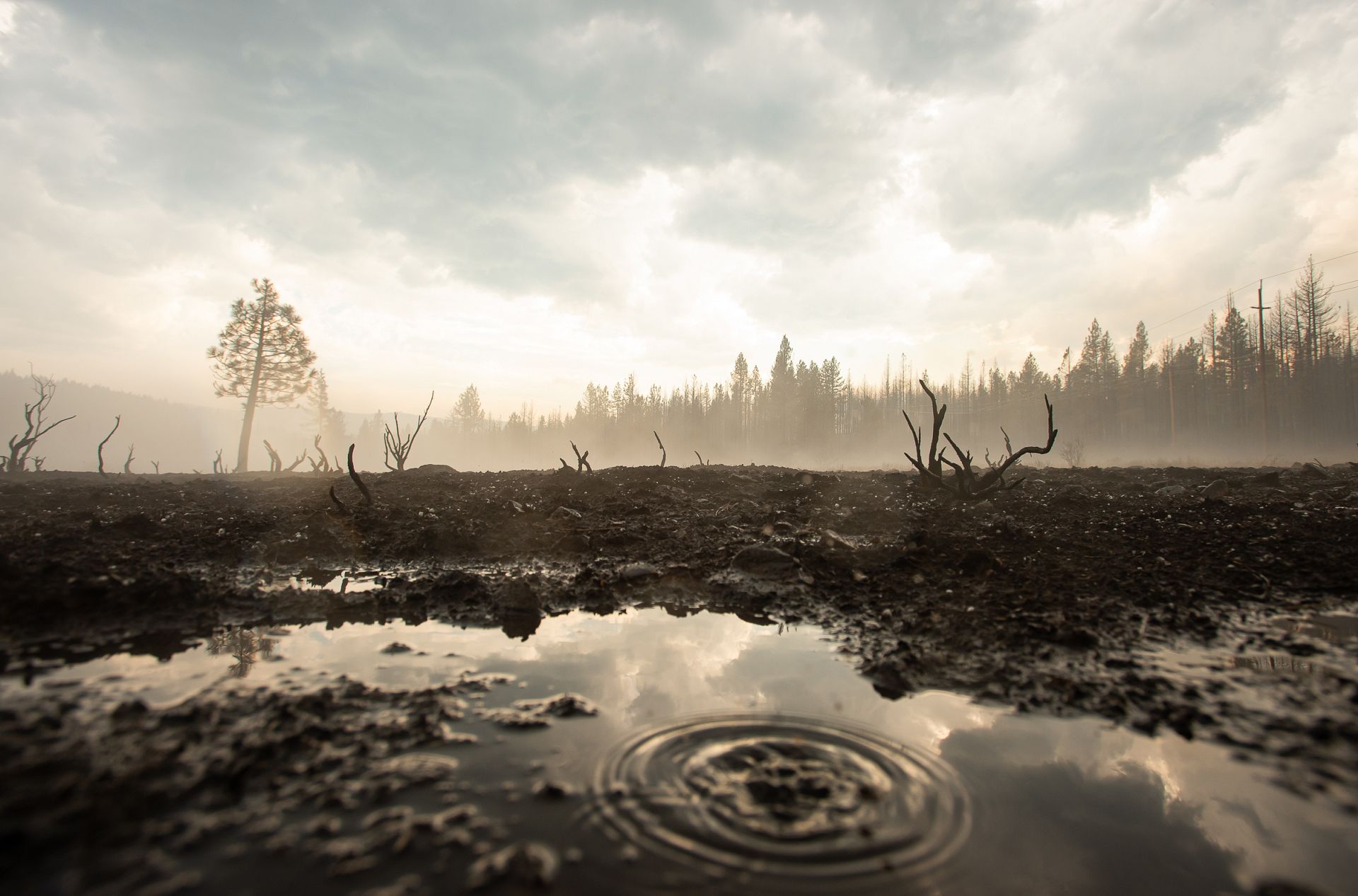 Fire and hail: Apocalyptic pictures of California blazes | Euronews