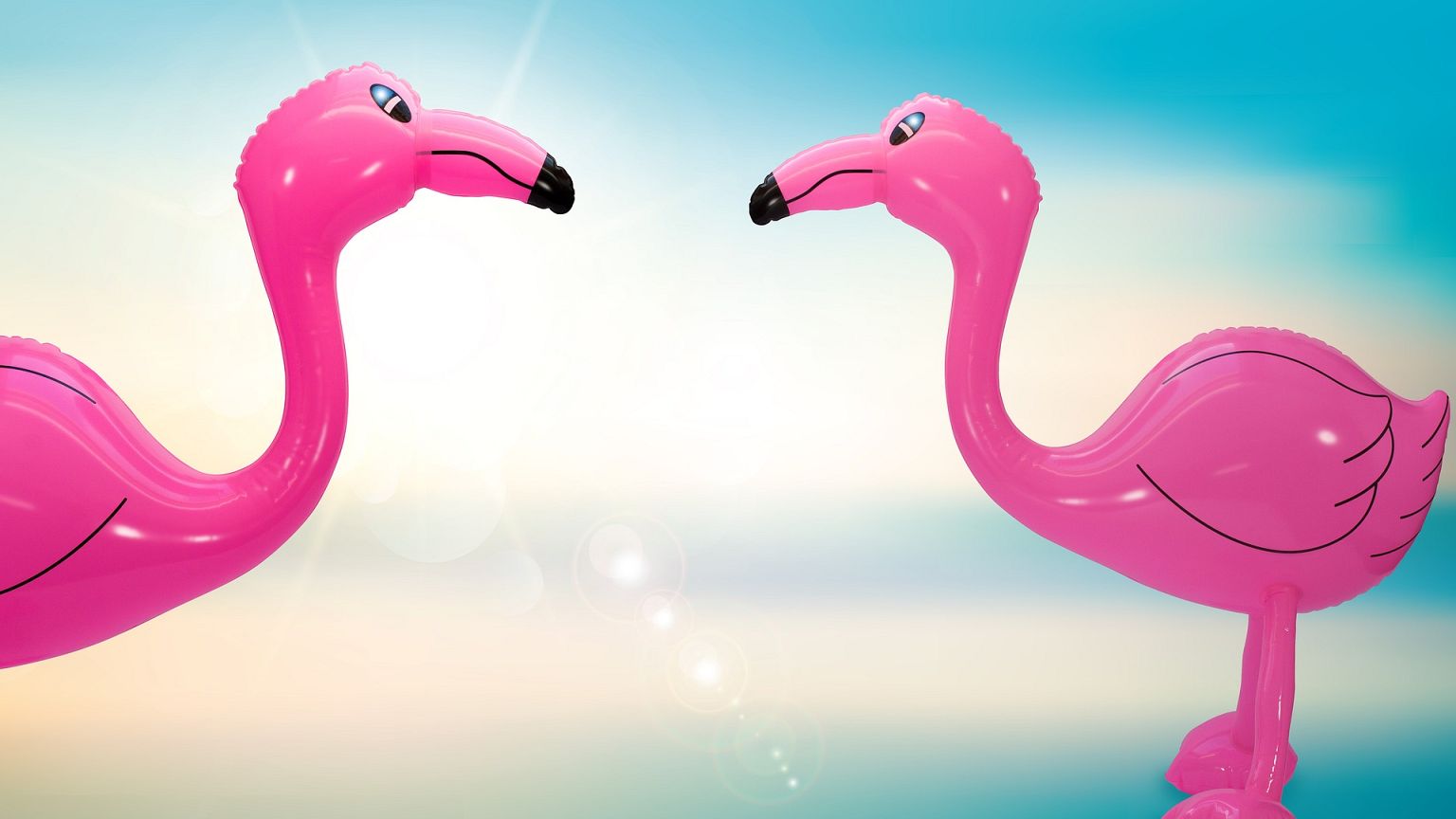 Thief left flat after inflatable flamingo helps police track him down ...