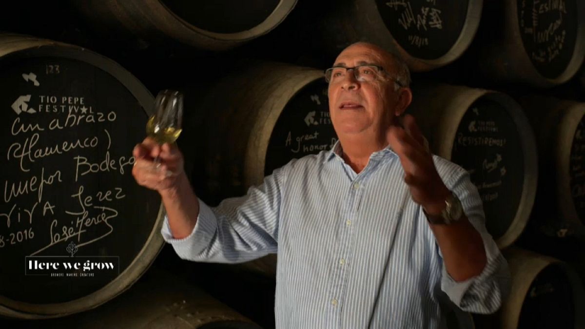 The celebrated wines of Spain - and the unique regions that create them ...