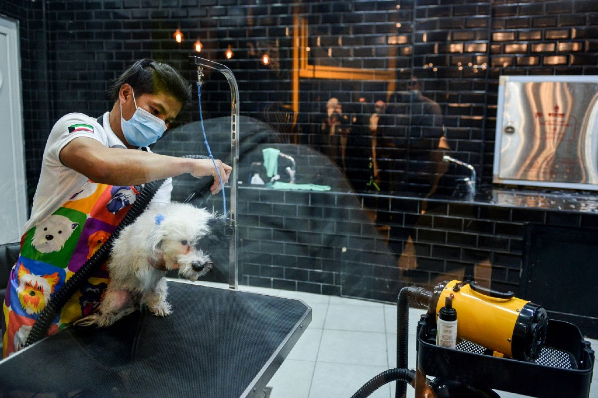 In a changing Saudi Arabia, the first dog cafe delights pet lovers ...