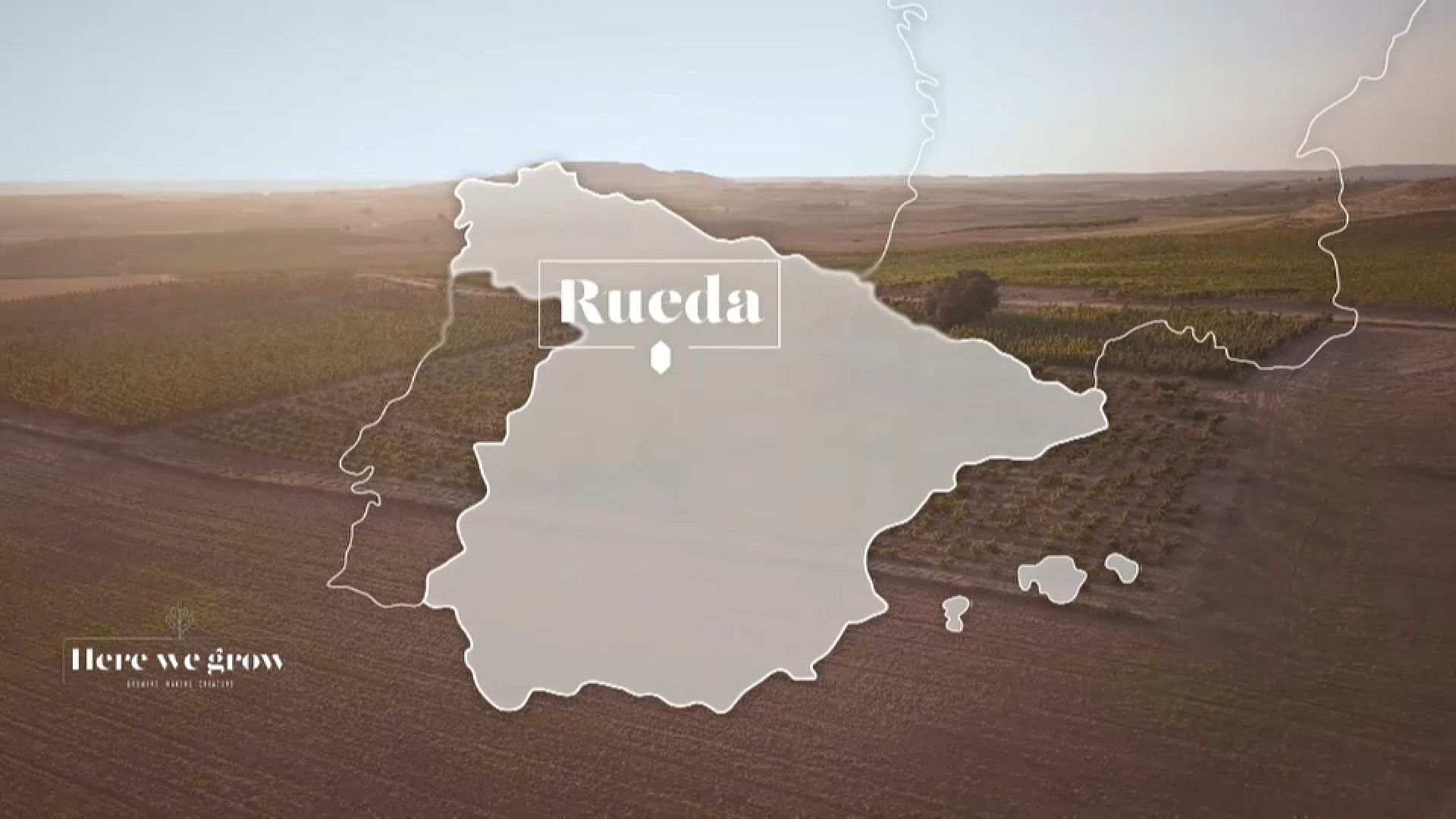 The organic wines of Spain restoring the ancient rhythms of production ...