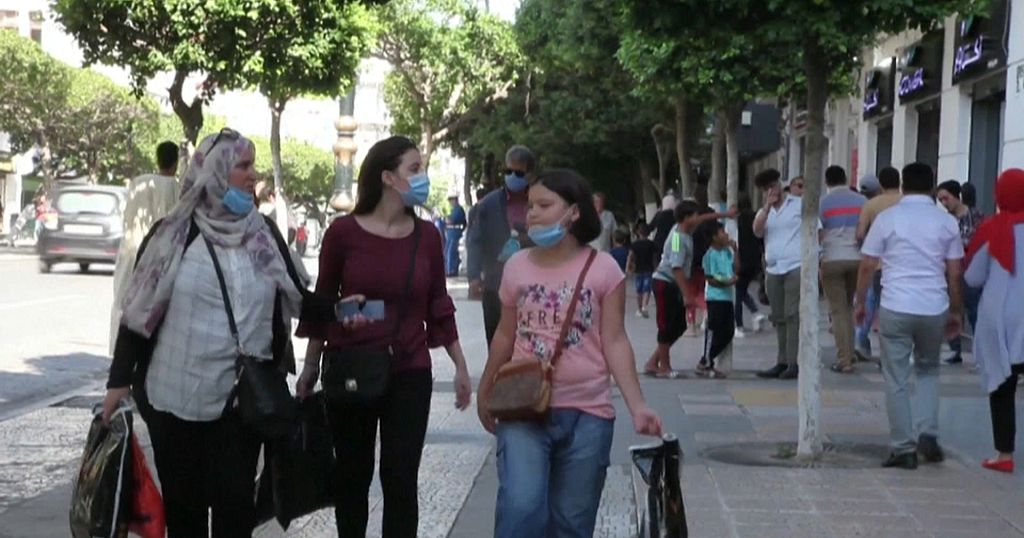 Algeria: Campaign for constitutional reform begins | Africanews