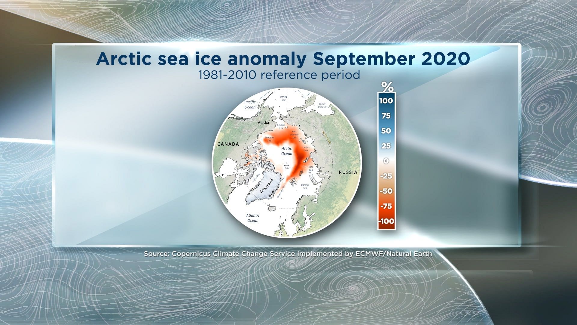 Rumanía reintroducirá el bisonte | Euronews