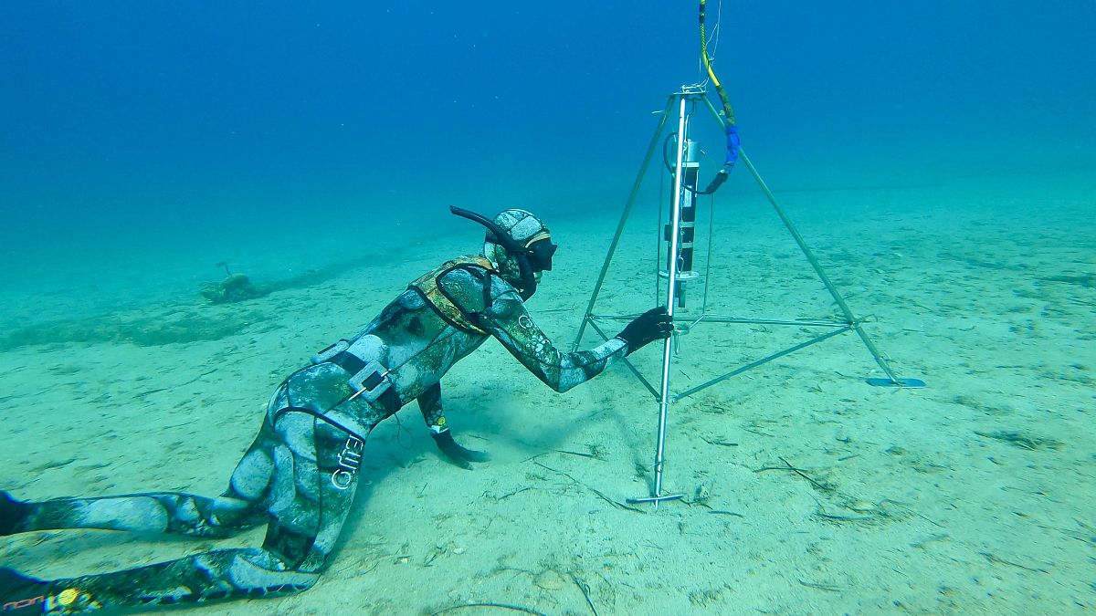 The dangers of marine litter - and the innovative methods to combat it ...