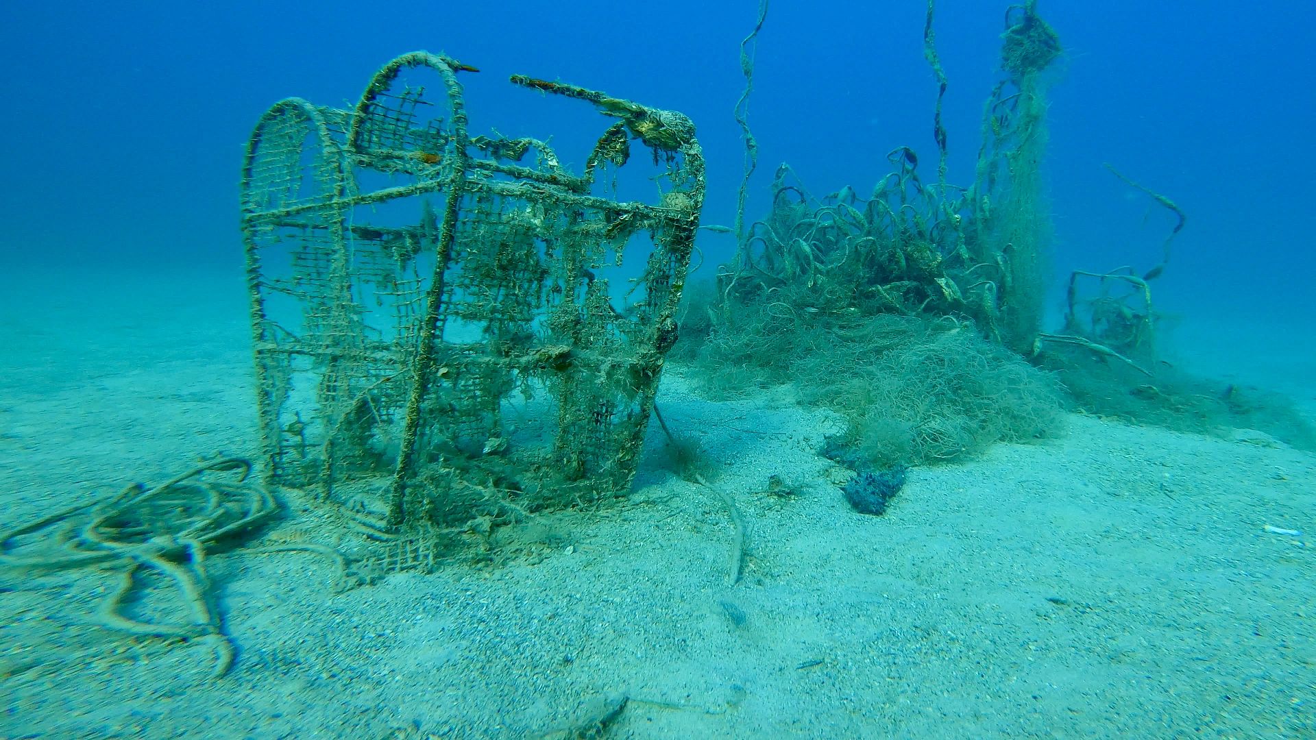 The dangers of marine litter - and the innovative methods to combat it ...