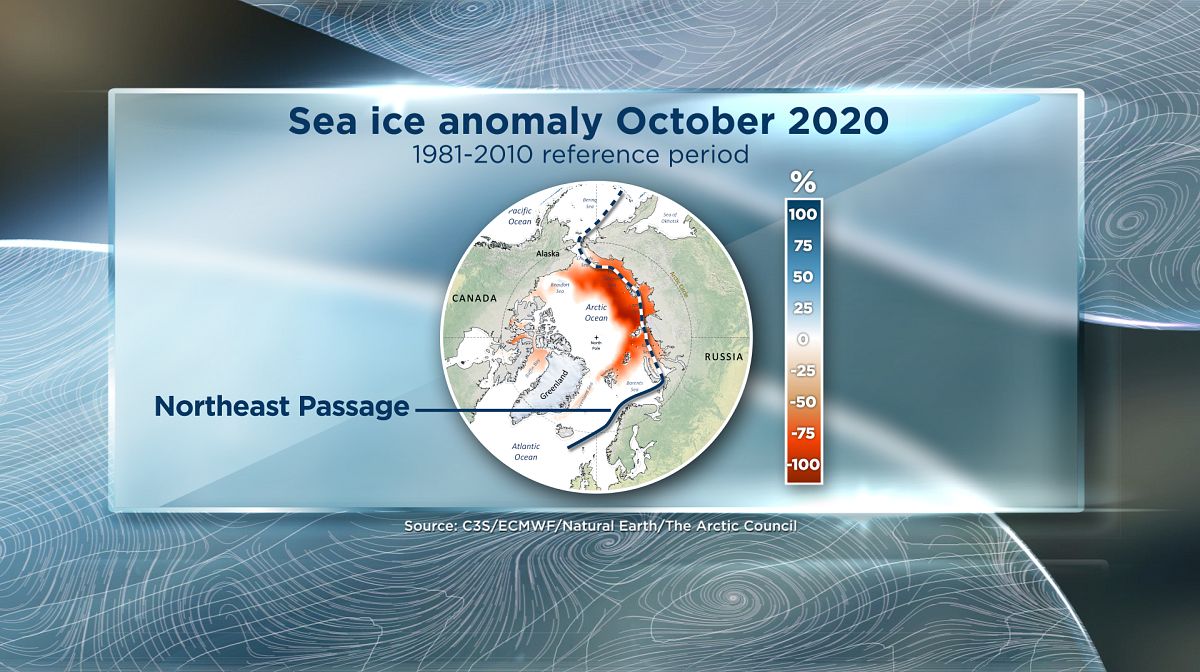 What's the impact of melting ice on rising sea levels? | Euronews