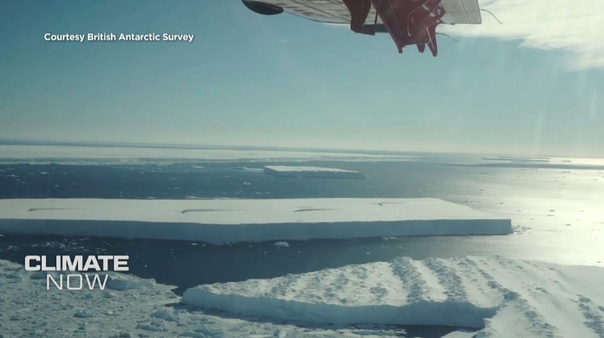 What's the impact of melting ice on rising sea levels? | Euronews