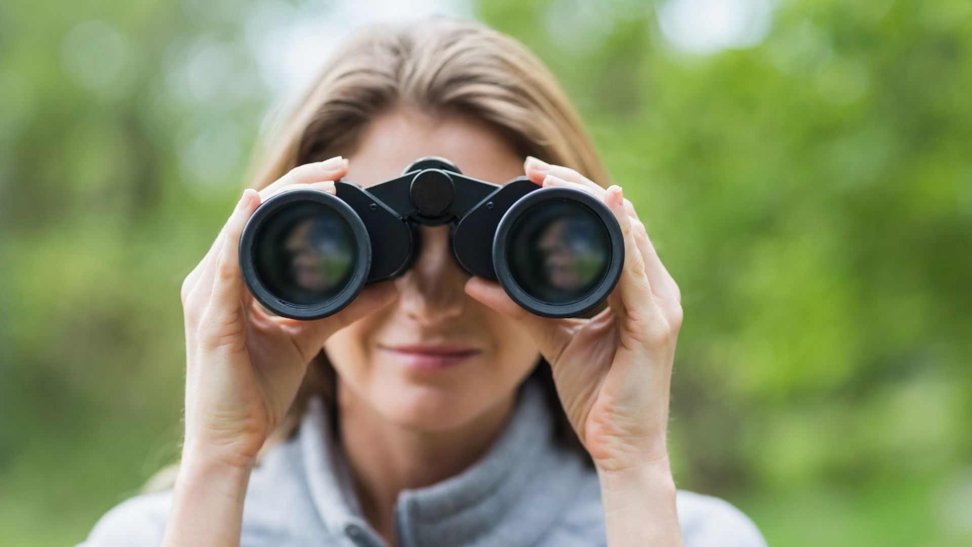 How to spot wildlife in the city: Tips from an urban naturalist | Euronews