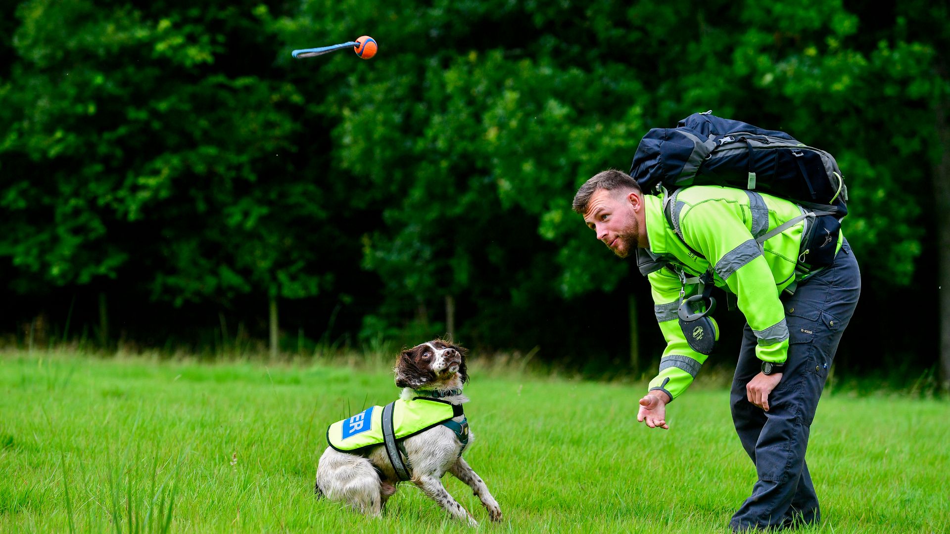 How dogs are using their special powers to help us save water | Euronews