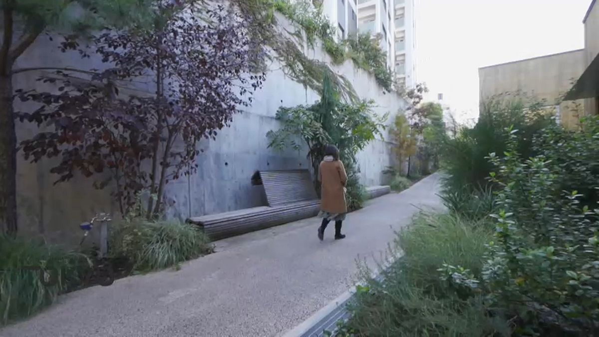Tokyo: Japan's city garden | Euronews
