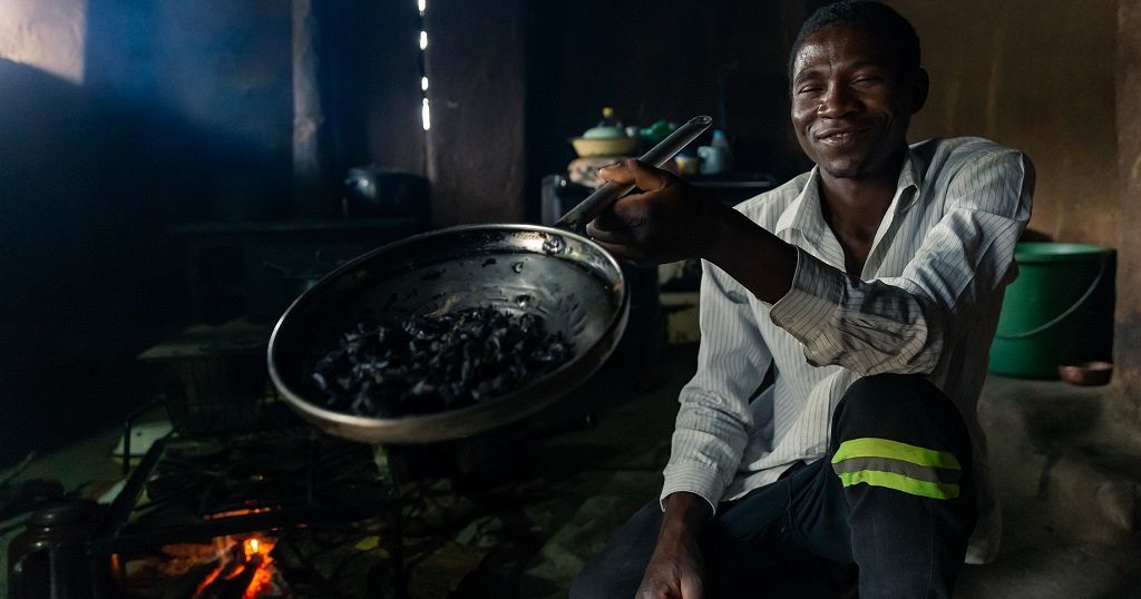 Crave for fried beetles grows in Zimbabwe's countryside | Africanews