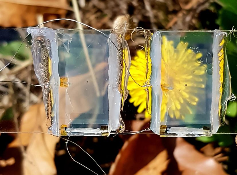 Scientists have created invisible solar panels which look like windows ...