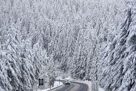 Enjoy the best photography of Europe in the snow | Euronews