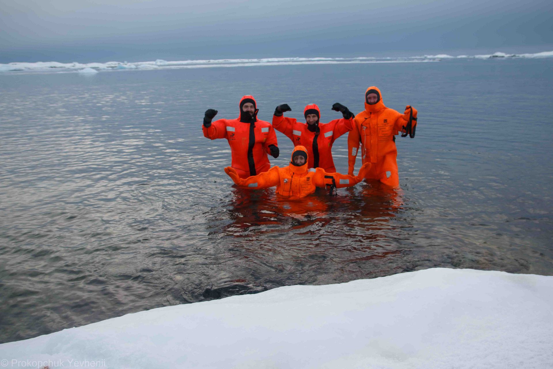 Antarctic landscapes, a library and tuxedoes once a week: a polar ...