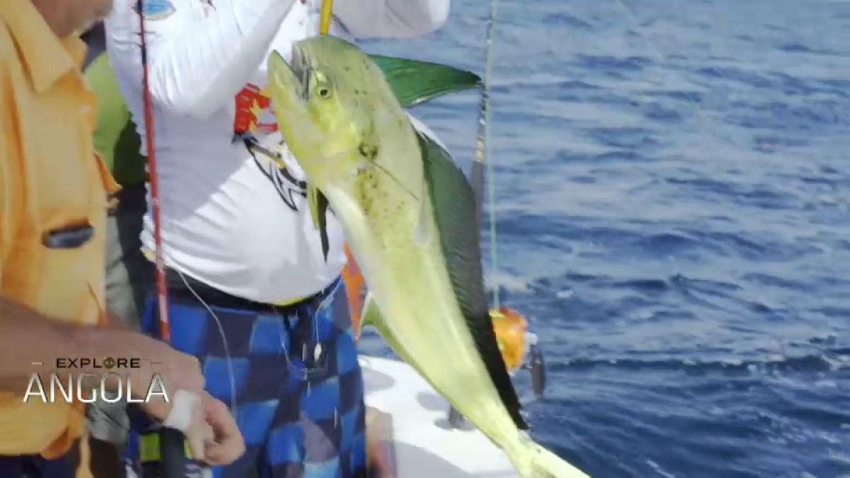 Angola: un verdadero paraíso para la pesca deportiva | Euronews