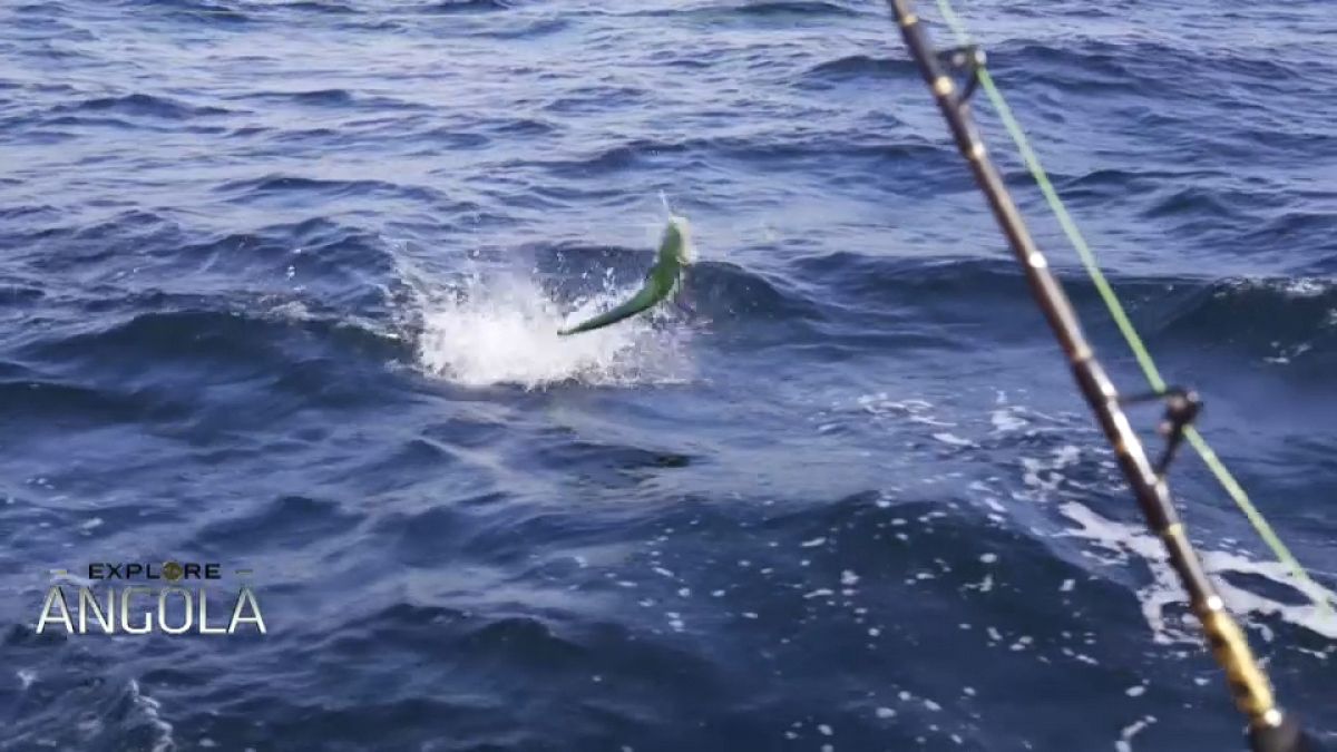 Angola: un verdadero paraíso para la pesca deportiva | Euronews