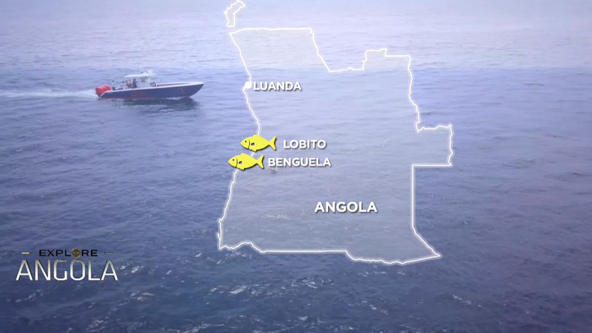 Os melhores locais para a pesca desportiva em Angola | Euronews