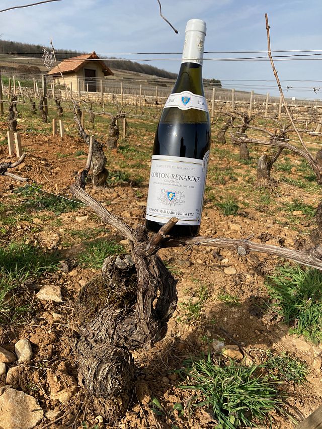 Wine tasting in Burgundy: Tracking down the most famous Pinot Noir on ...