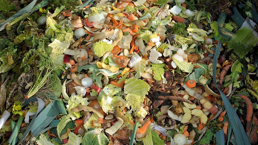 More than 900 million tonnes of food is thrown away each year, says UN ...
