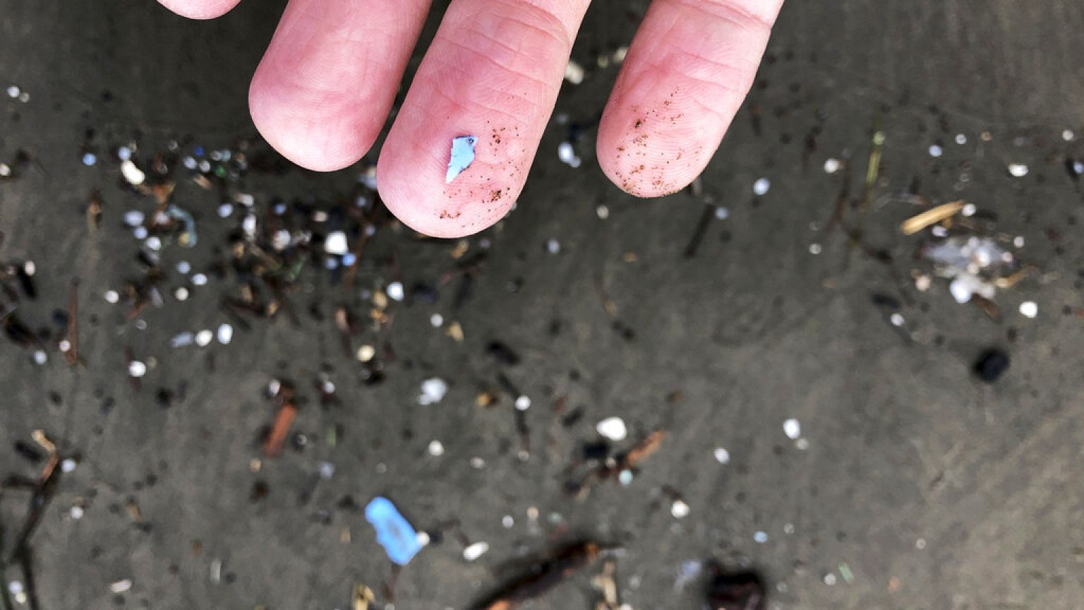 You could be breathing in microplastics that then enter your brain, new ...