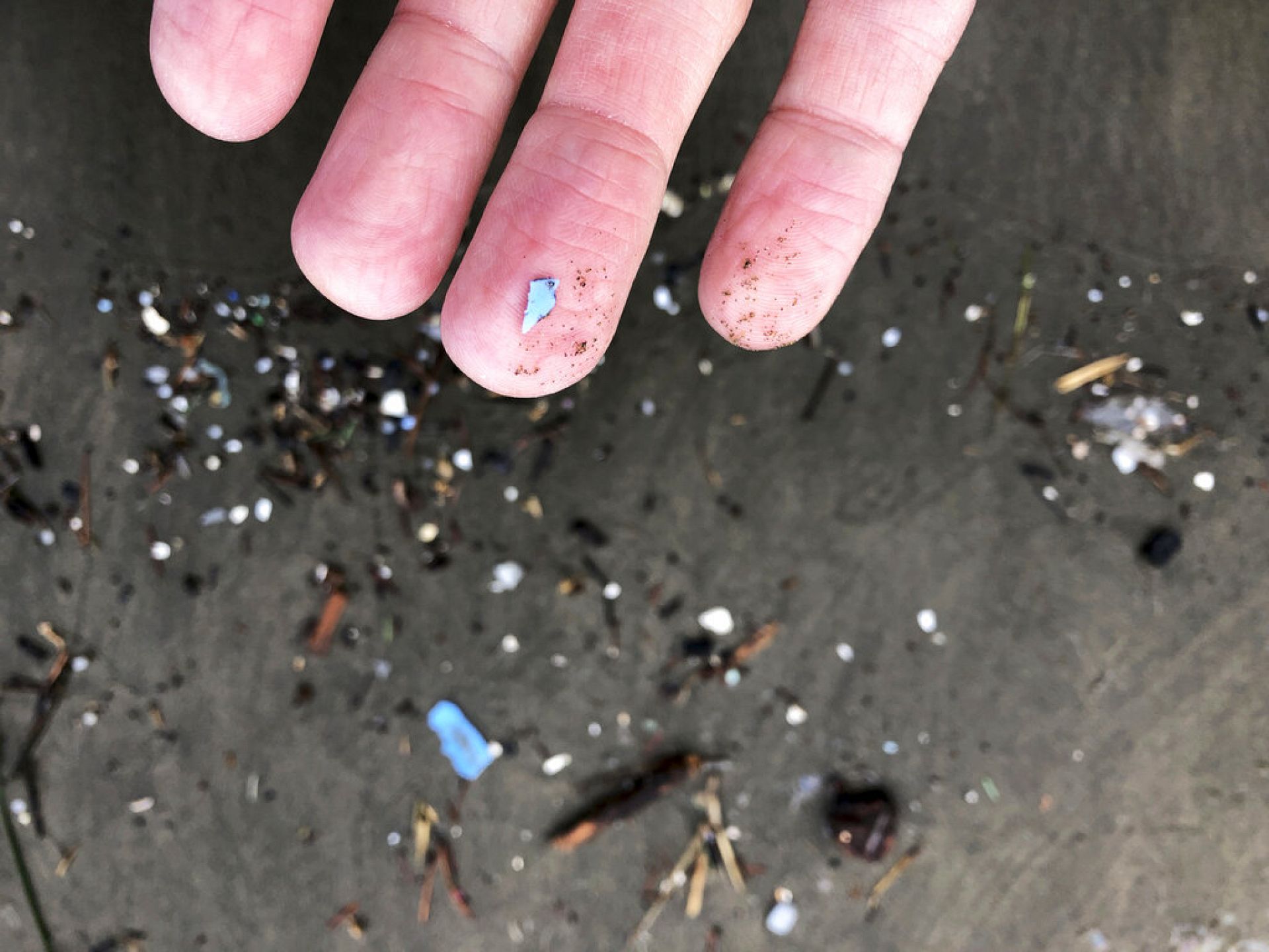 Bright colours make plastics break down faster, fuelling microplastic ...