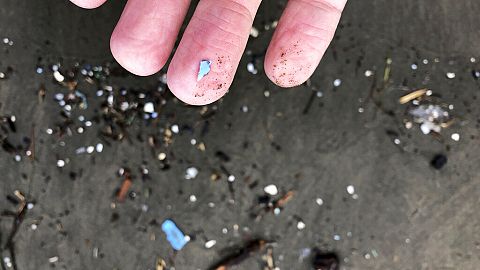 These are the top 5 sources of microplastics in your home: Here's how ...