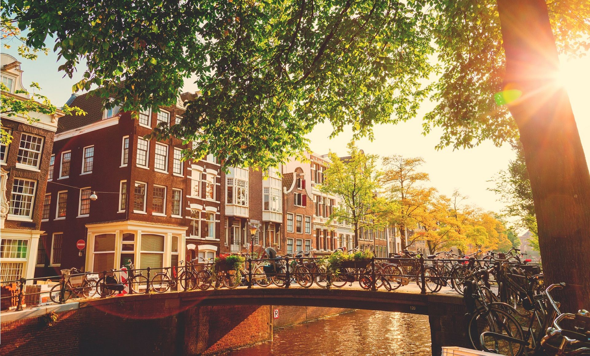 These are the top 10 happiest countries in the world in 2021 | Euronews