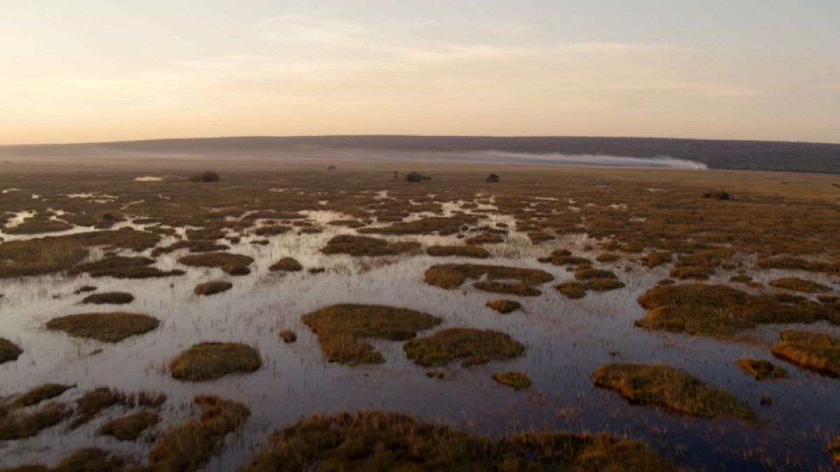 The source of the Okavango wilderness: Angola's untapped territory ...