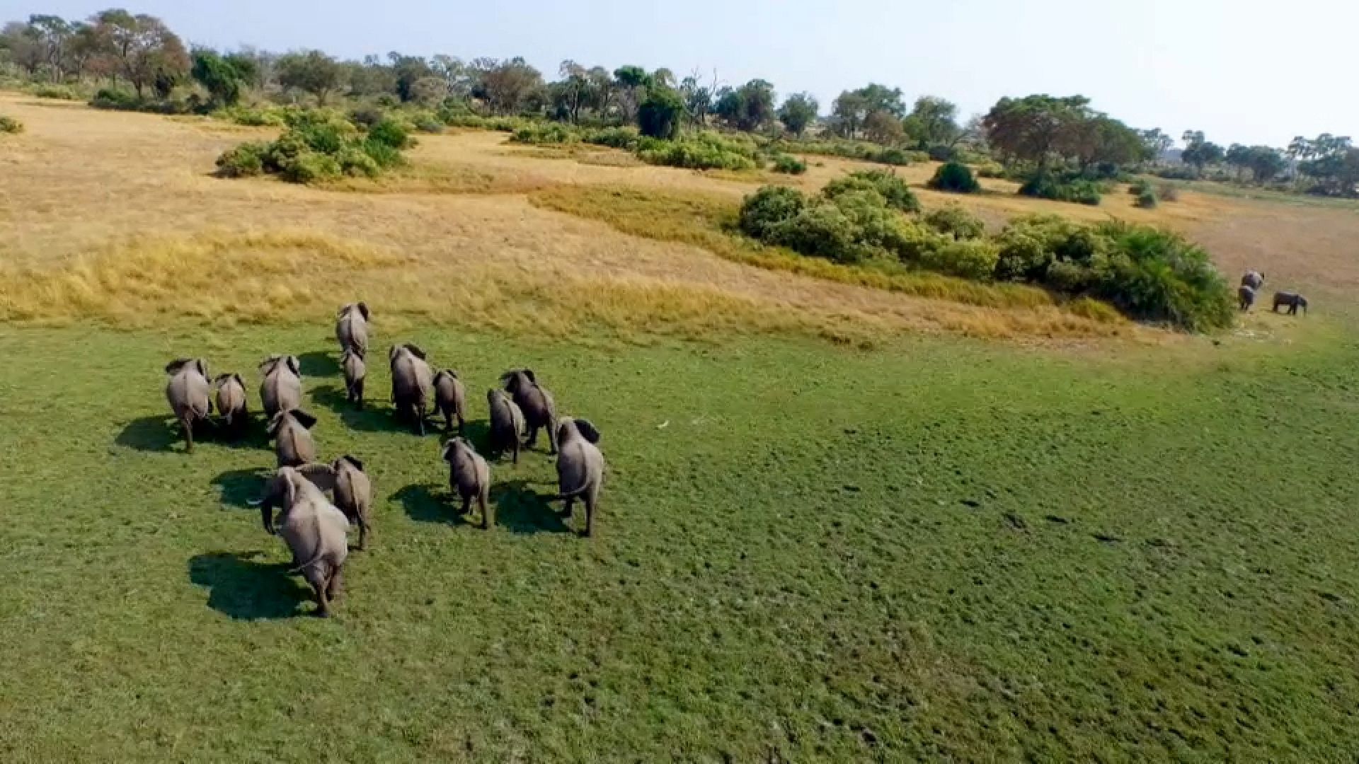 The source of the Okavango wilderness: Angola's untapped territory ...