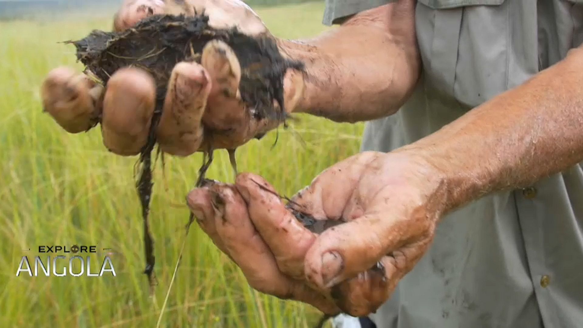 Cubango, o segredo de Angola que os cientistas começam a conhecer ...