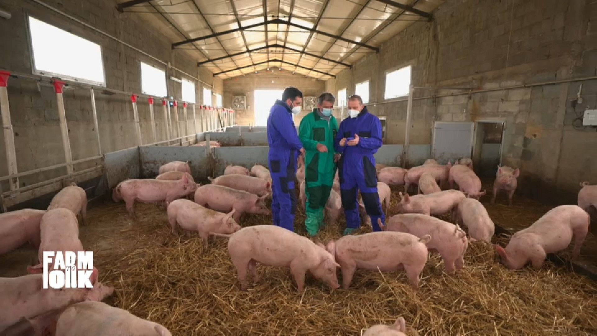 How sustainable farms in Italy are improving animal welfare and our ...