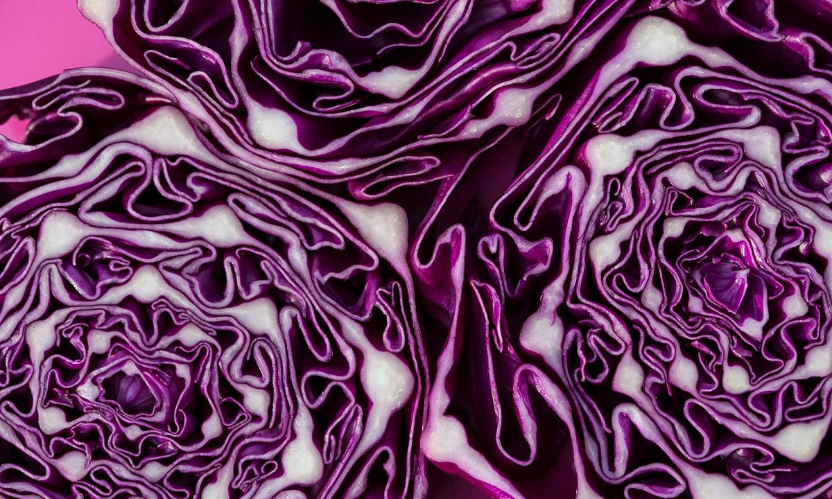 Natural blue dye found in cabbage could put an end to synthetic blues ...