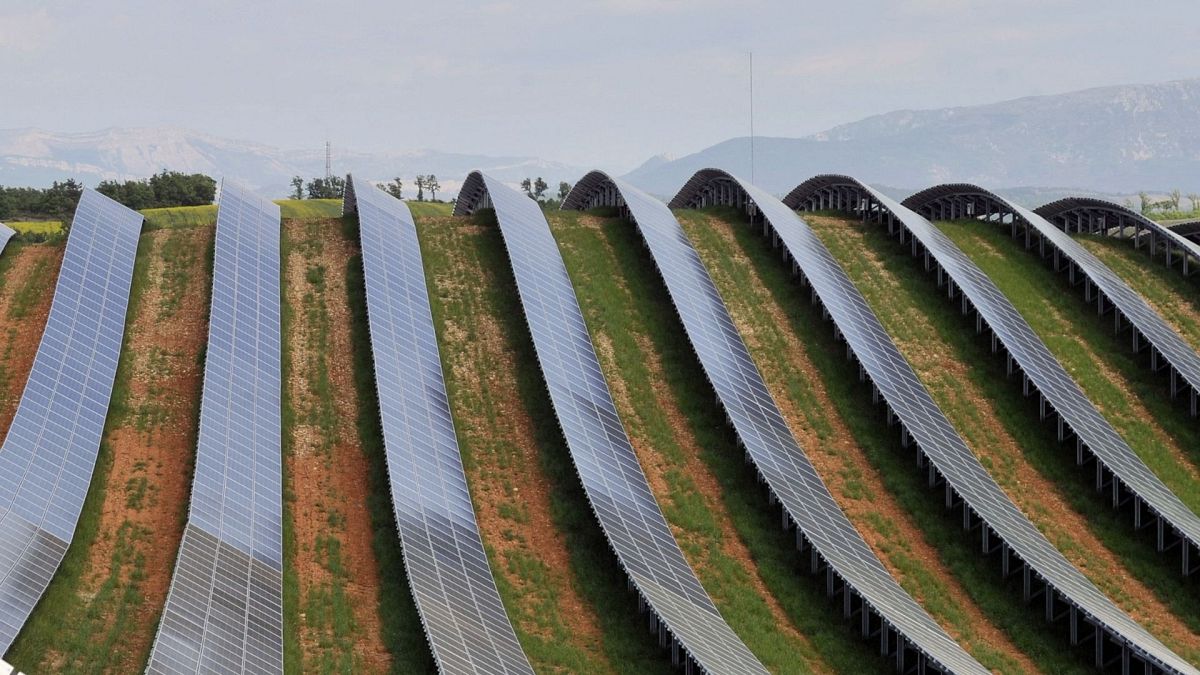 These are the 11 most beautiful solar farms in the world | Euronews