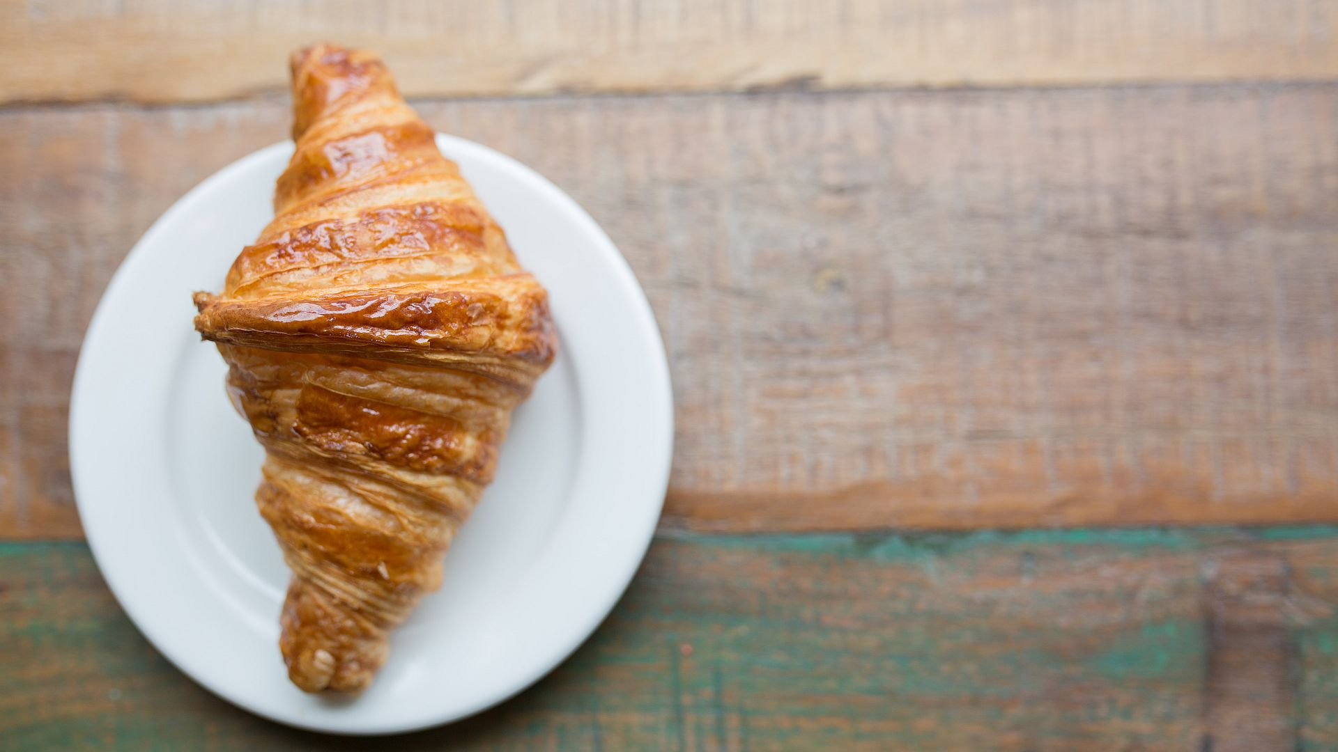 Mystery animal sighting in Krakow ends up being a croissant | Euronews