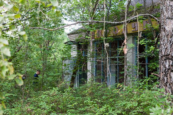 Radiation levels at Chernobyl are rising: The environmental impact of ...