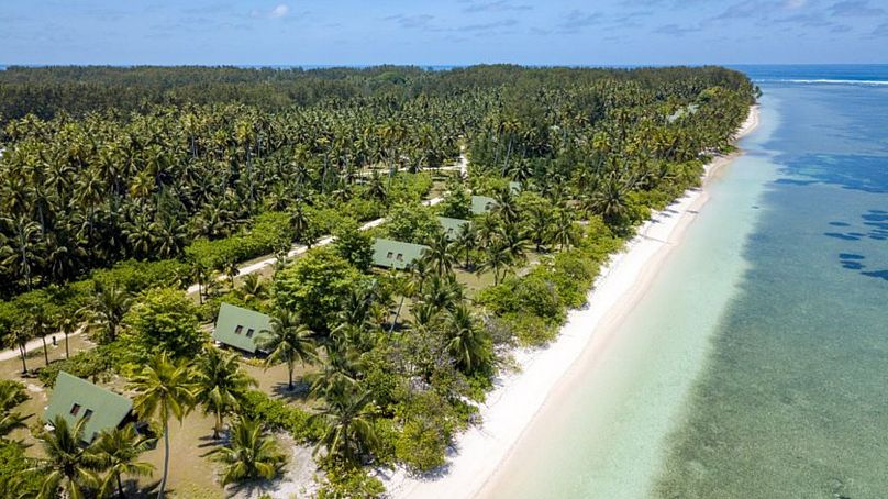 Alphonse Island: The world's most sustainable tropical paradise? | Euronews