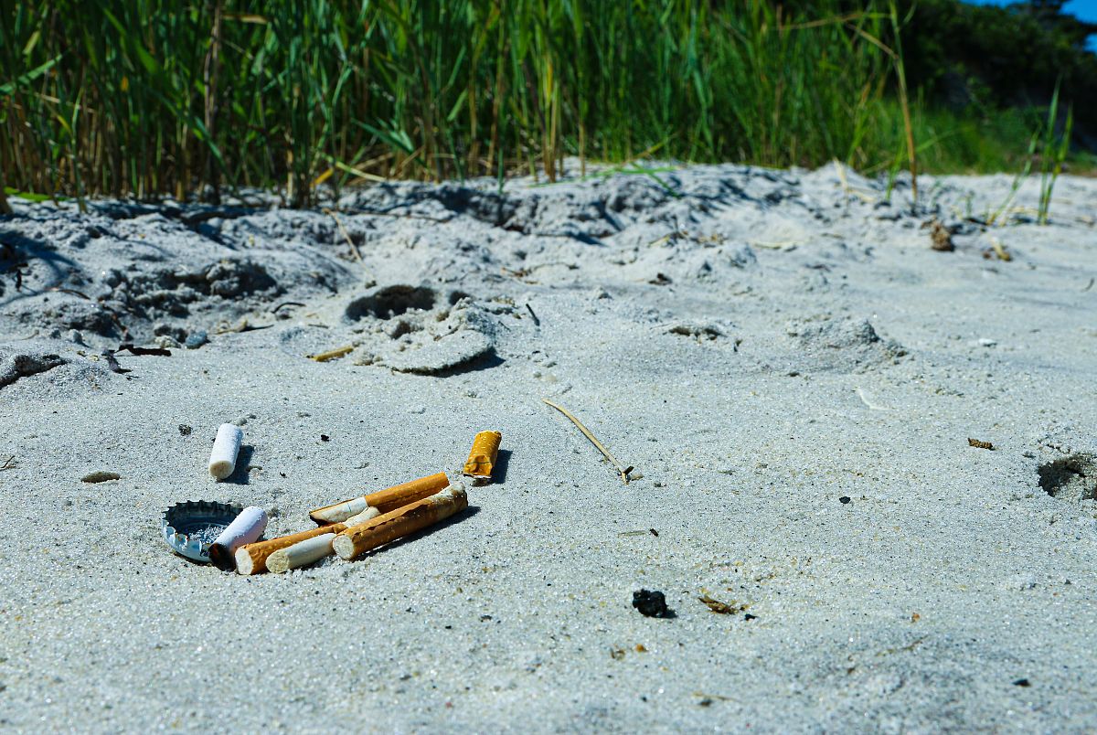 Cigarettes are destroying the planet - should we ban them in Europe ...