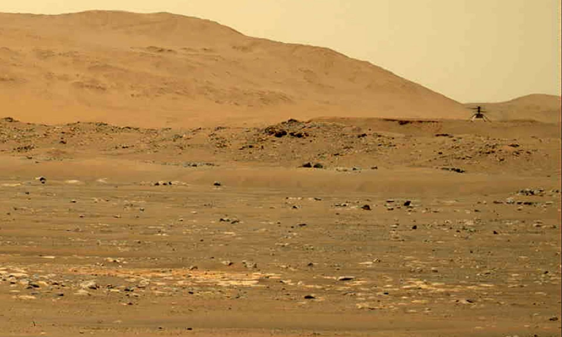 Manned missions to Mars have taken a step closer thanks to hibernating ...