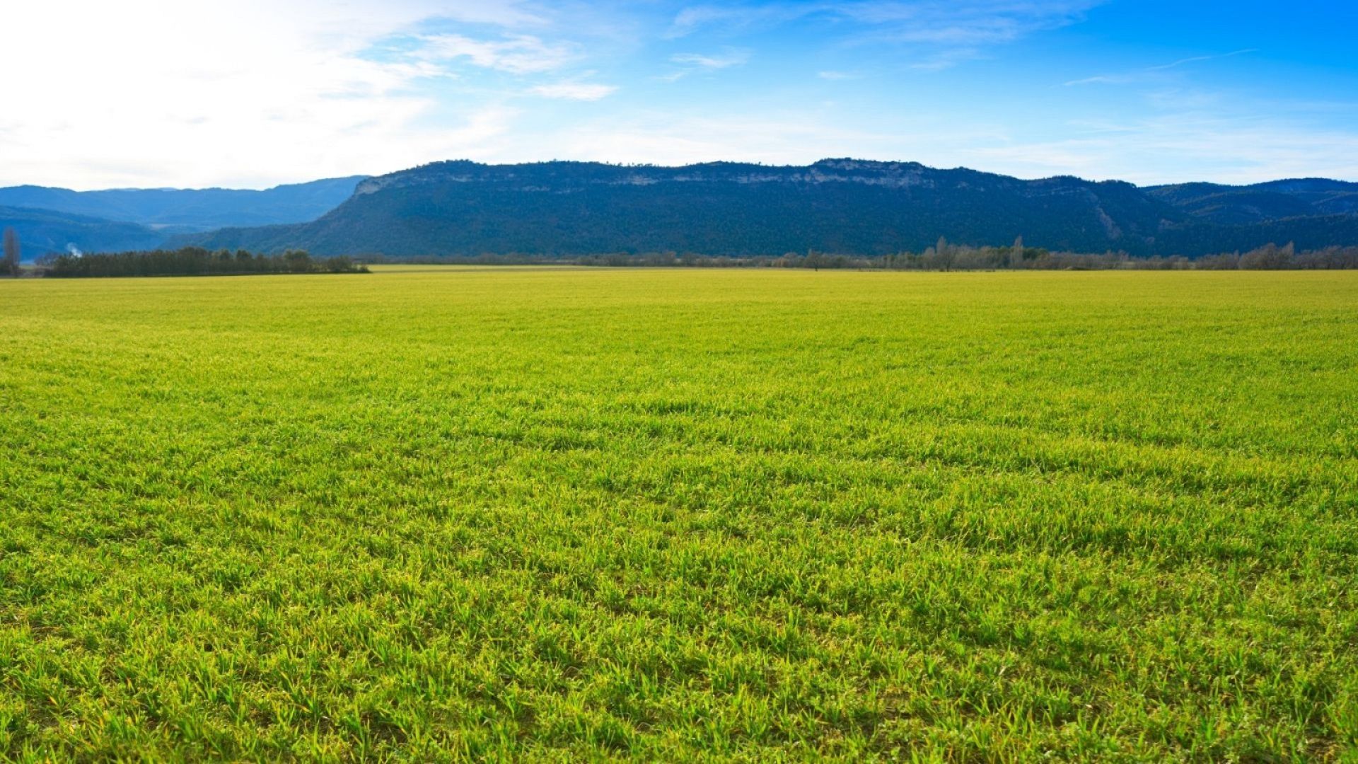 We are ‘gobbling up nature’: UN urges countries to restore 1bn hectares ...