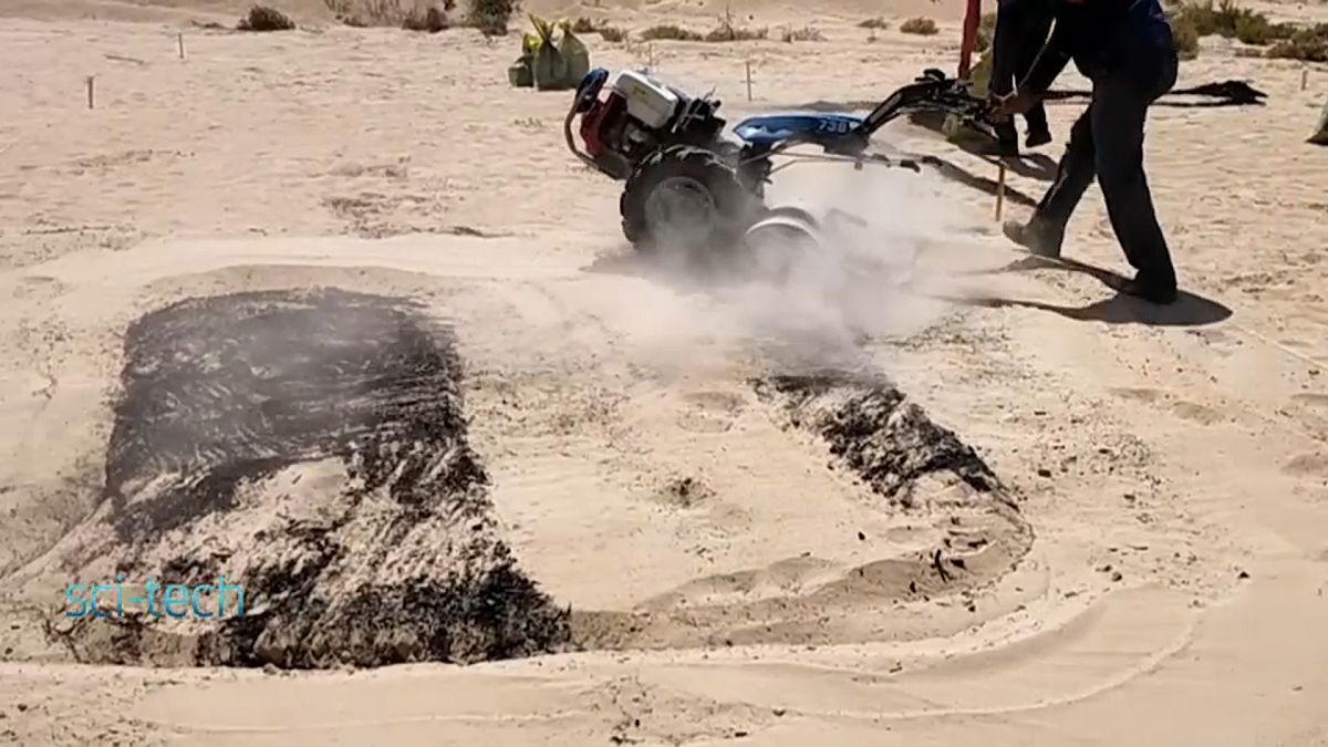 Sand science: Dubai researchers dig up secrets to sustain life on Earth ...