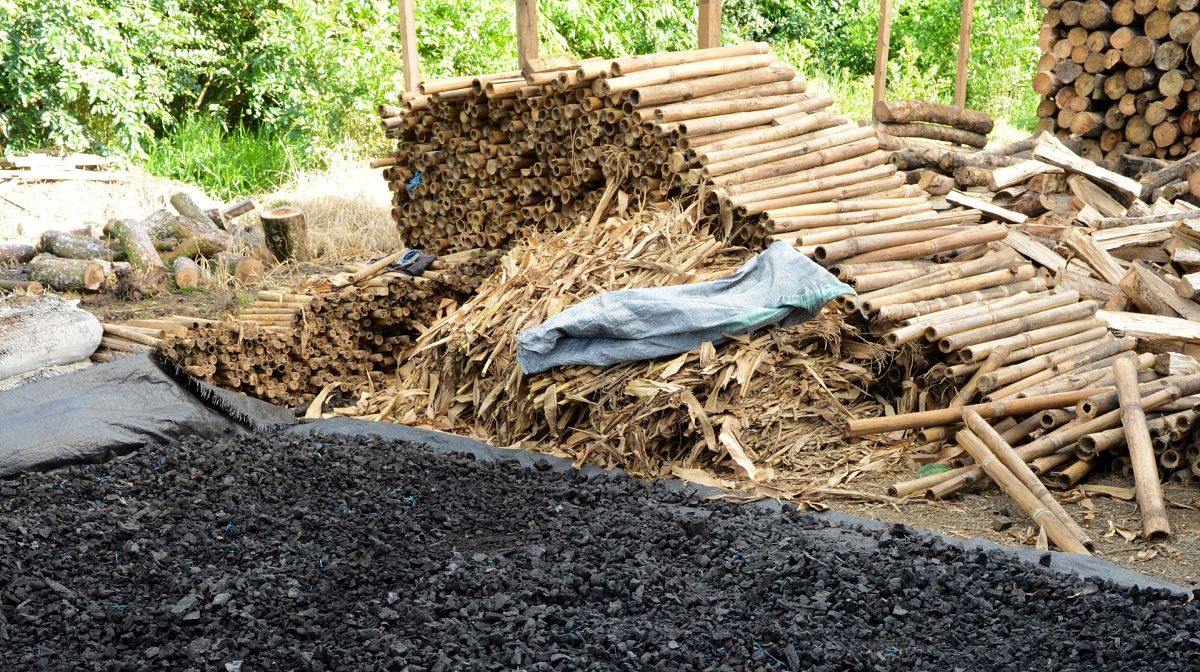 How is the €3 billion biochar industry transforming green energy in ...