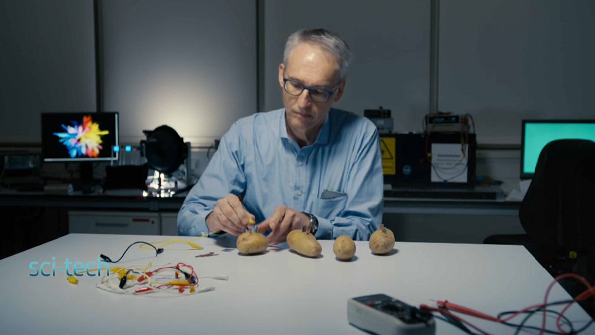 The scientific champions of the 2021 European Inventor Award celebrate ...